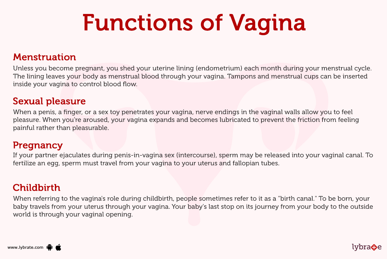 Vigana Of The Body