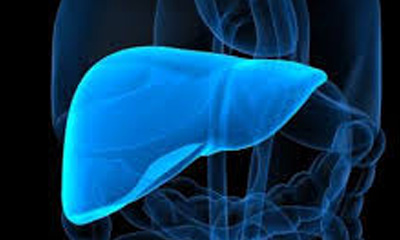 My scan report says: liver is normal in size, shape and position with ...