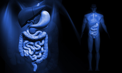 Usg report: epigastrium:- epigastric region shows probe tenderness ...