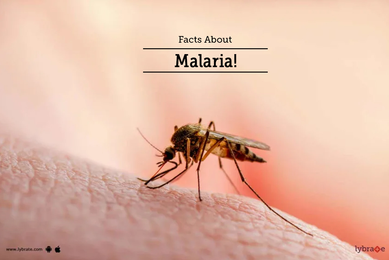 Facts About Malaria! - By Dr. Arun Kumar | Lybrate