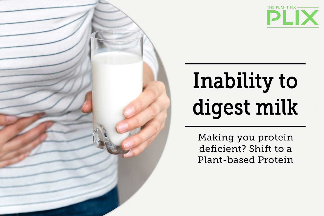 Inability to digest milk making you protein deficient? Shift to a Plant ...