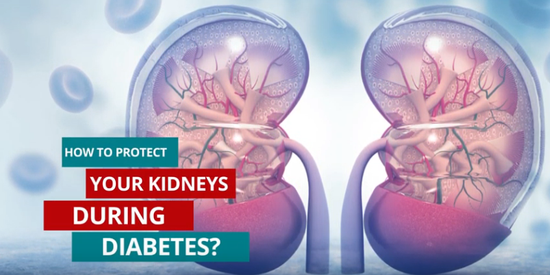 How to protect your kidneys during diabetes? - By Dr. Garima | Lybrate
