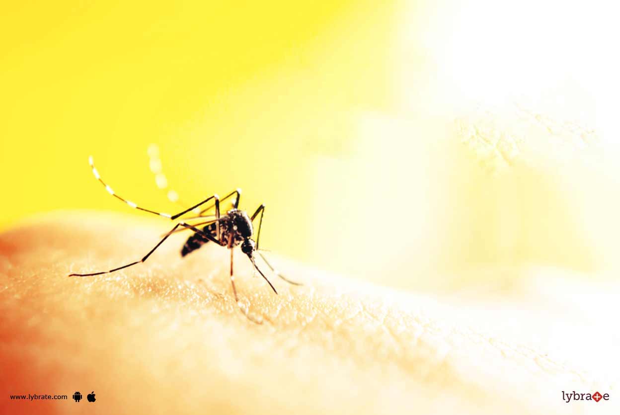 Chikungunya Fever - Causes, Symptoms And Treatment Of It! - By Dr ...