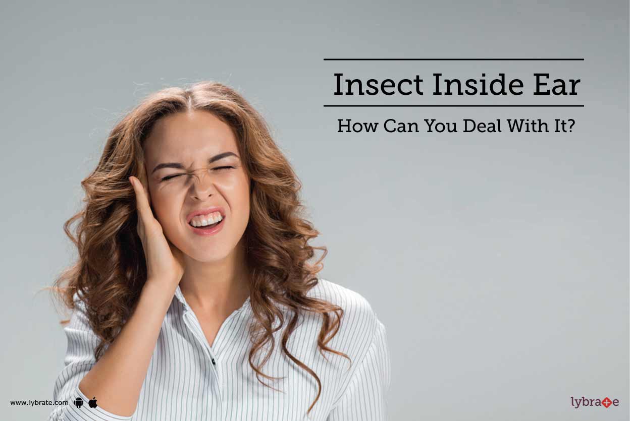 Insect Inside Ear - How Can You Deal With It? - By Dr. Harmeet Singh ...