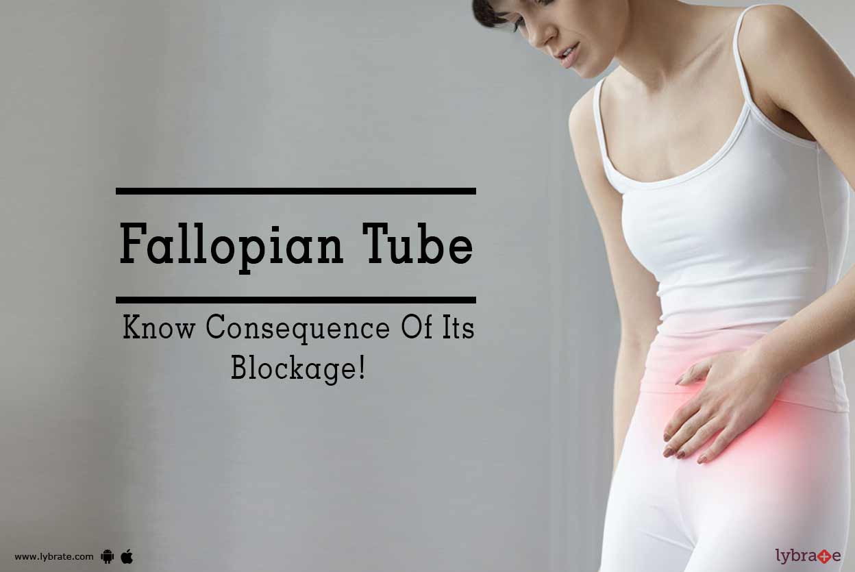 Fallopian Tube - Know Consequence Of Its Blockage! - By Dr. Neha Jain ...