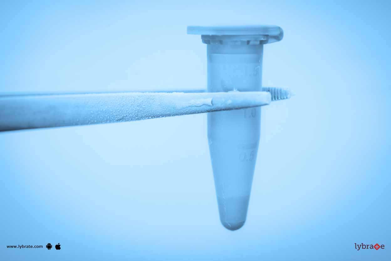 Embryo Freezing And Cryo Preservation - What Should You Know? - By ...