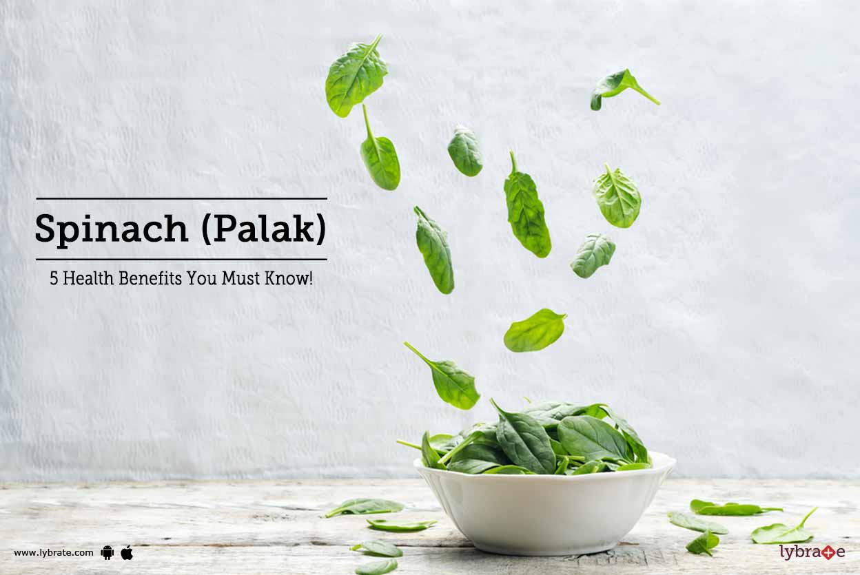 Spinach Palak 5 Health Benefits You Must Know By Vedic Gram