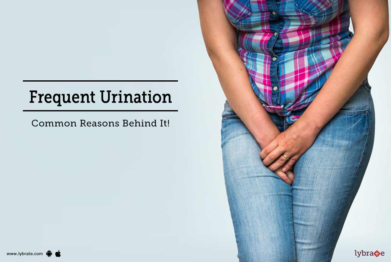 Frequent Urination - Common Reasons Behind It! - By Dr. K S Shiva Kumar ...