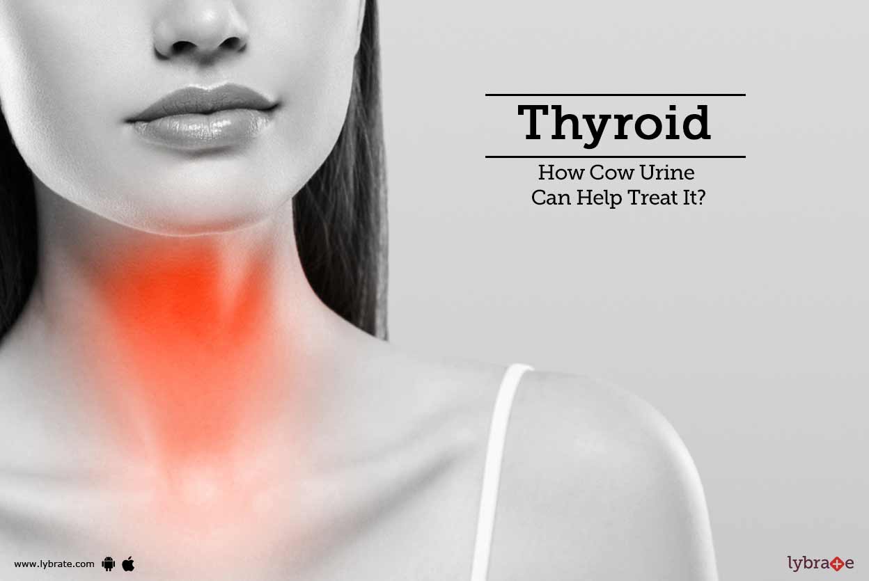 Thyroid - How Cow Urine Can Help Treat It? - By Dr. Elizabath Mathew ...