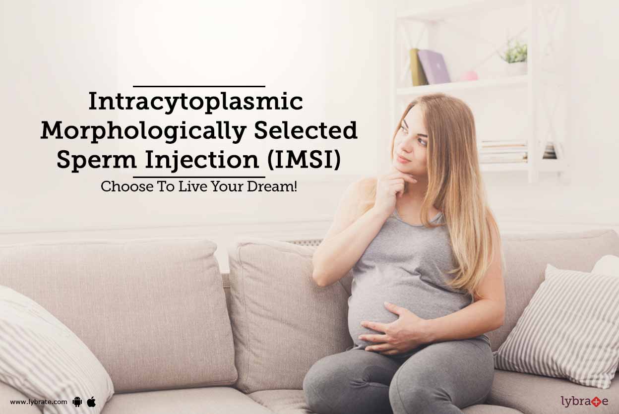 Intracytoplasmic Morphologically Selected Sperm Injection (IMSI ...