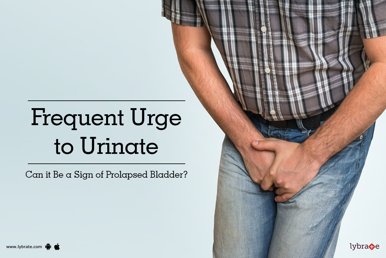 Frequent Urge To Urinate Can It Be A Sign Of Prolapsed Bladder By