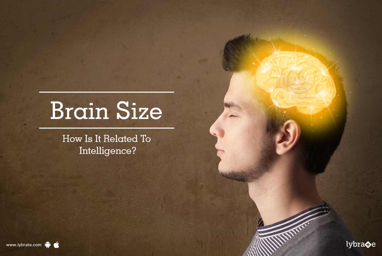 Brain Size - How Is It Related To Intelligence? - By Dr. R.V.Anand ...