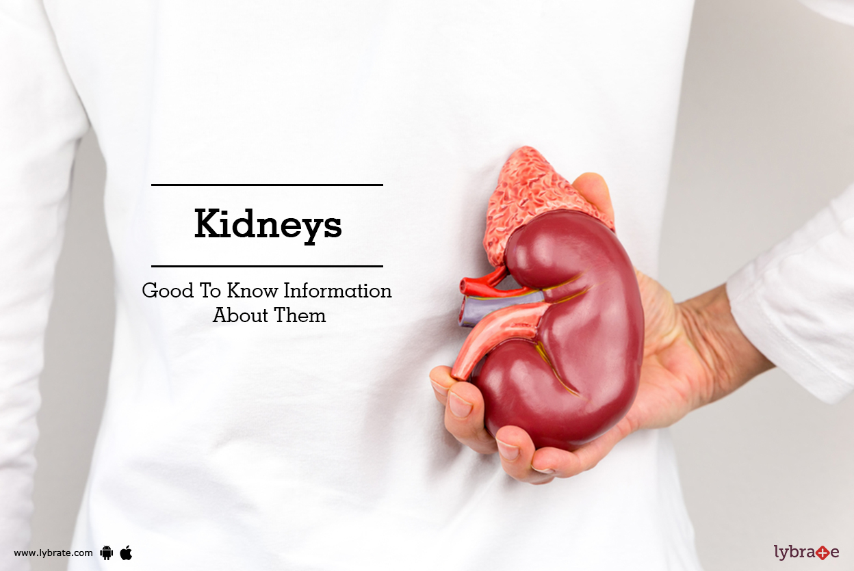 Kidneys - Good To Know Information About Them - By Dr. Gaurav Sahai ...