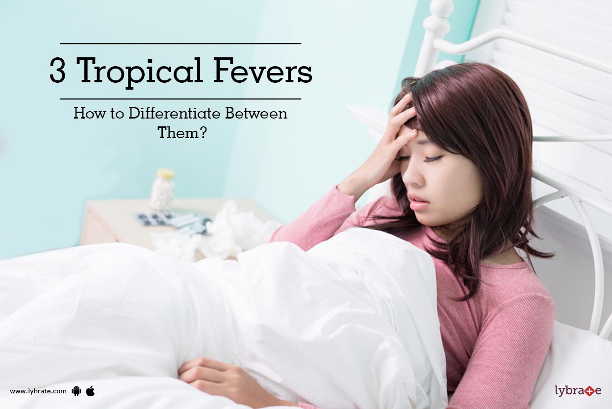 3 Tropical Fevers - How to Differentiate Between Them? - By Dr ...