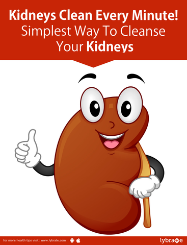 Kidneys Clean Every Minute! Simplest Way To Cleanse Your Kidneys. - By ...