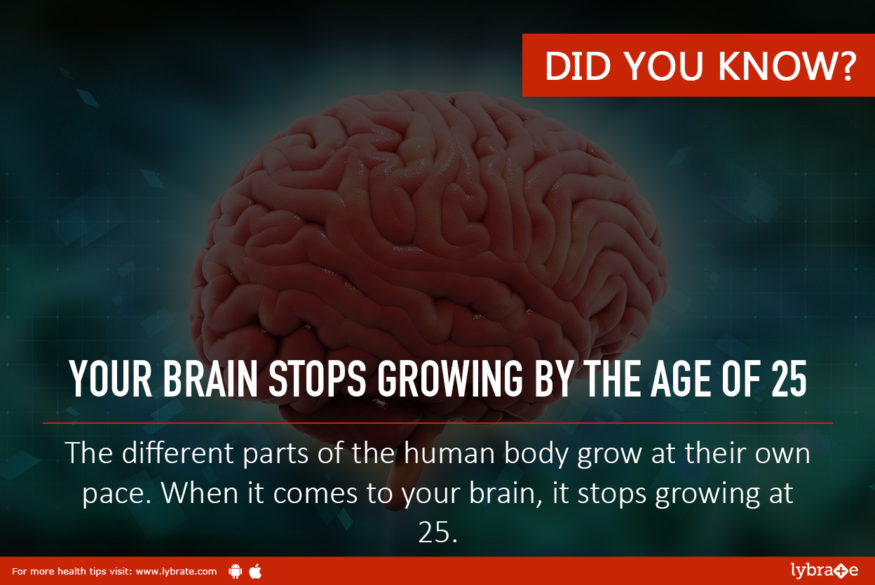 Super Fact of the Day: Your brain stops growing by the age of 25 - By ...