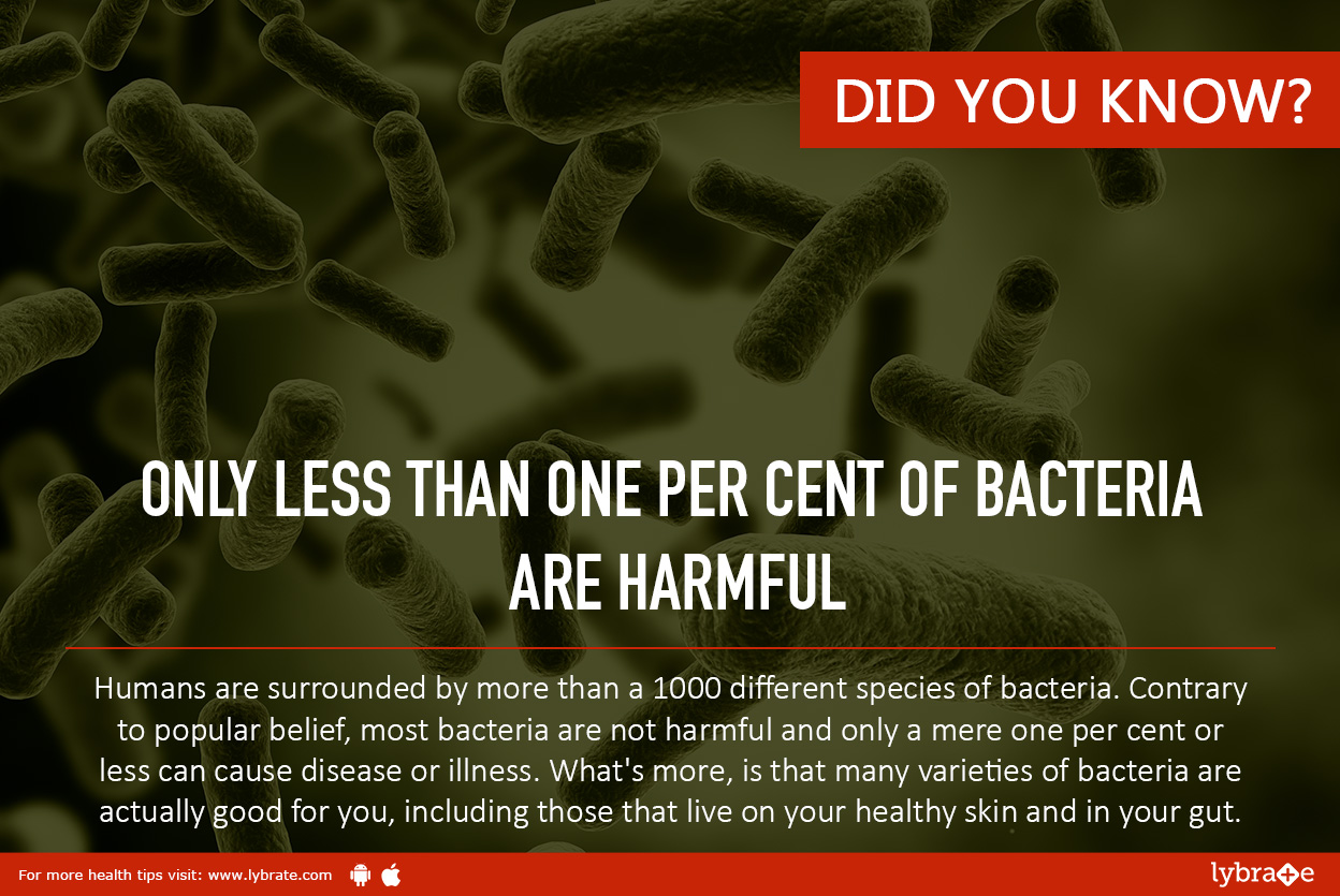 Super Fact of the Day: Only less than one per cent of bacteria are ...