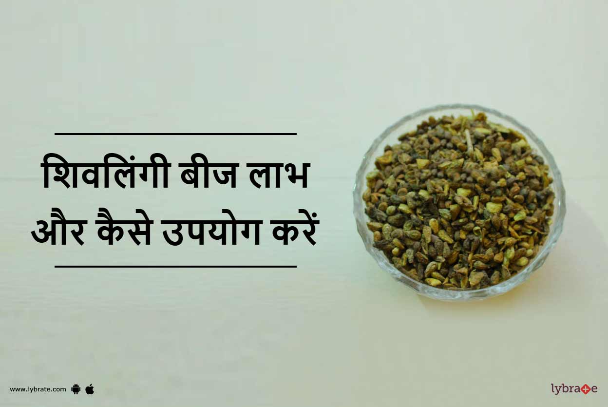 Shivlingi Seeds Benefits and How To Use in Hindi - शिवलिंगी बीज लाभ और ...
