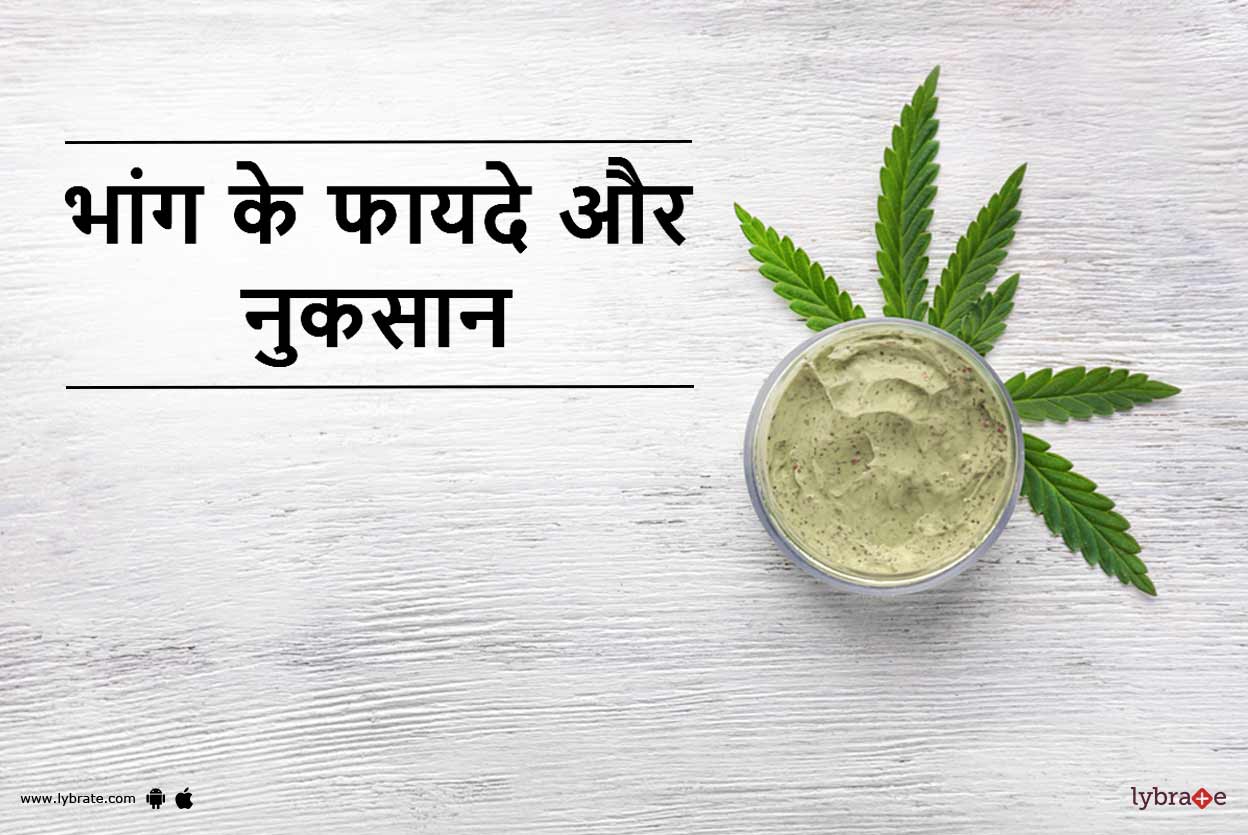 Bhang Benefits And Side Effects In Hindi - भांग के फायदे और नुकसान - By ...