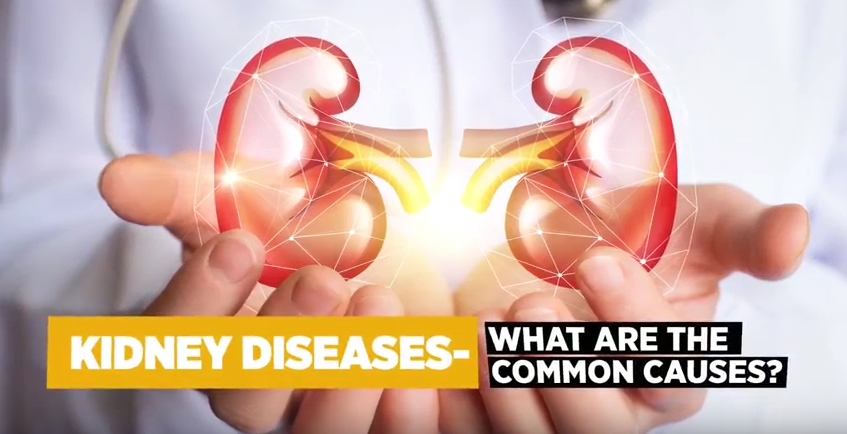 Kidney Diseases - What Are The Common Causes? - By Dr. Garima | Lybrate
