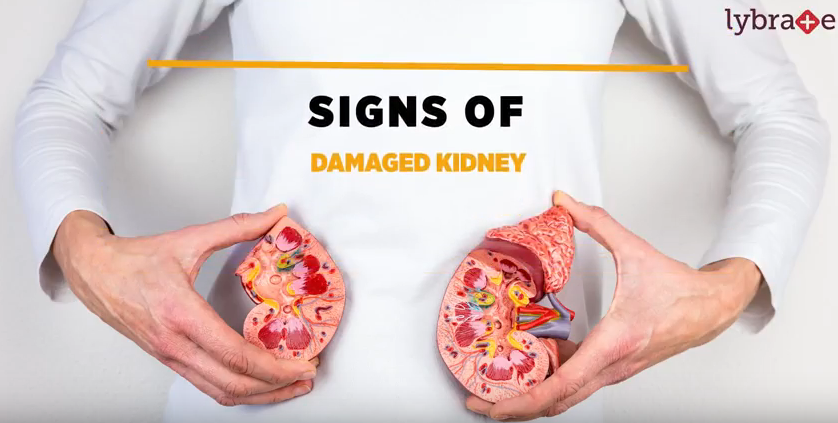 What are the signs of damaged kidney? - By Dr. Garima | Lybrate