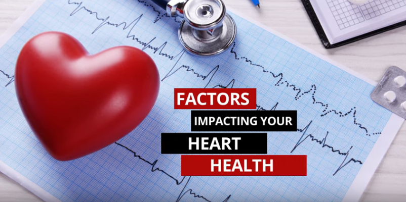 What Are The Factors That Impact Your Heart Health By Dr Garima