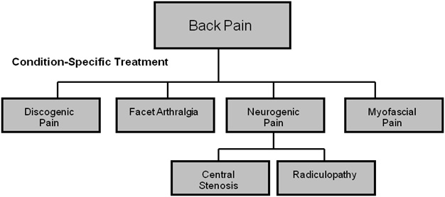 Managing Back Pain - By Dr. Hemang S Jani | Lybrate
