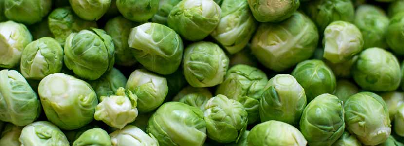 Benefits of Spourts And Its Side Effects | Lybrate