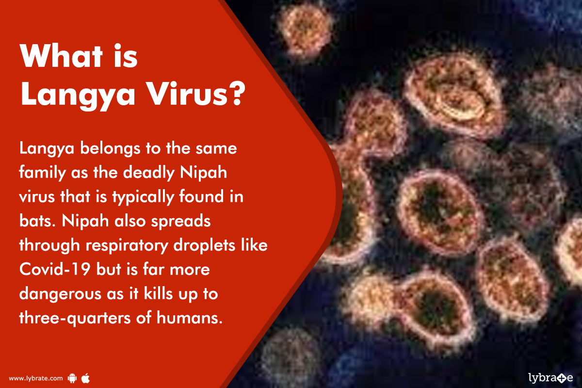 Outbreak Alert! New Langya Virus infects 35 in China; Everything about it