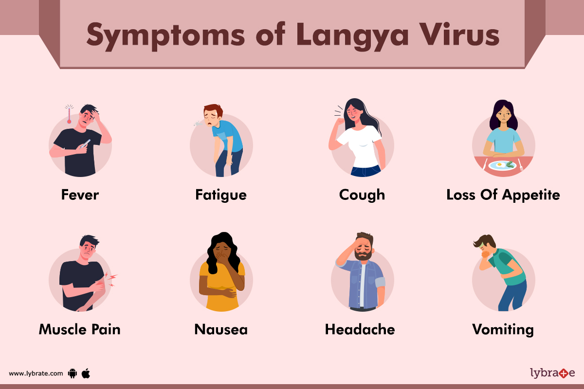 Outbreak Alert! New Langya Virus infects 35 in China; Everything about it